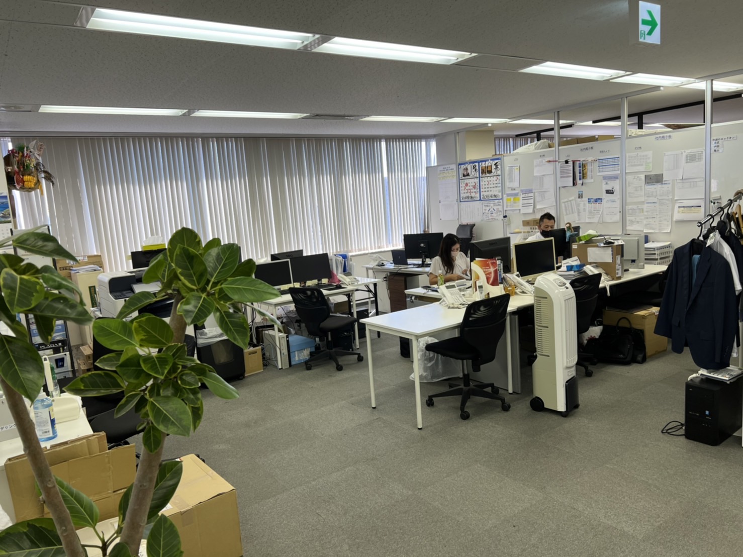 モデリング株式会社 鈴木裕介 | さいたまYEG つながるビジネスWeb